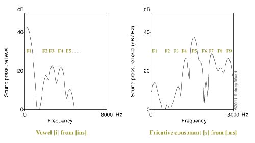 What are formants? | Welcome to SWPhonetics