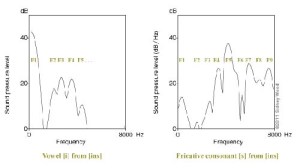What are formants? | Welcome to SWPhonetics