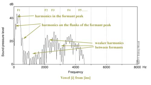What are formants? | Welcome to SWPhonetics
